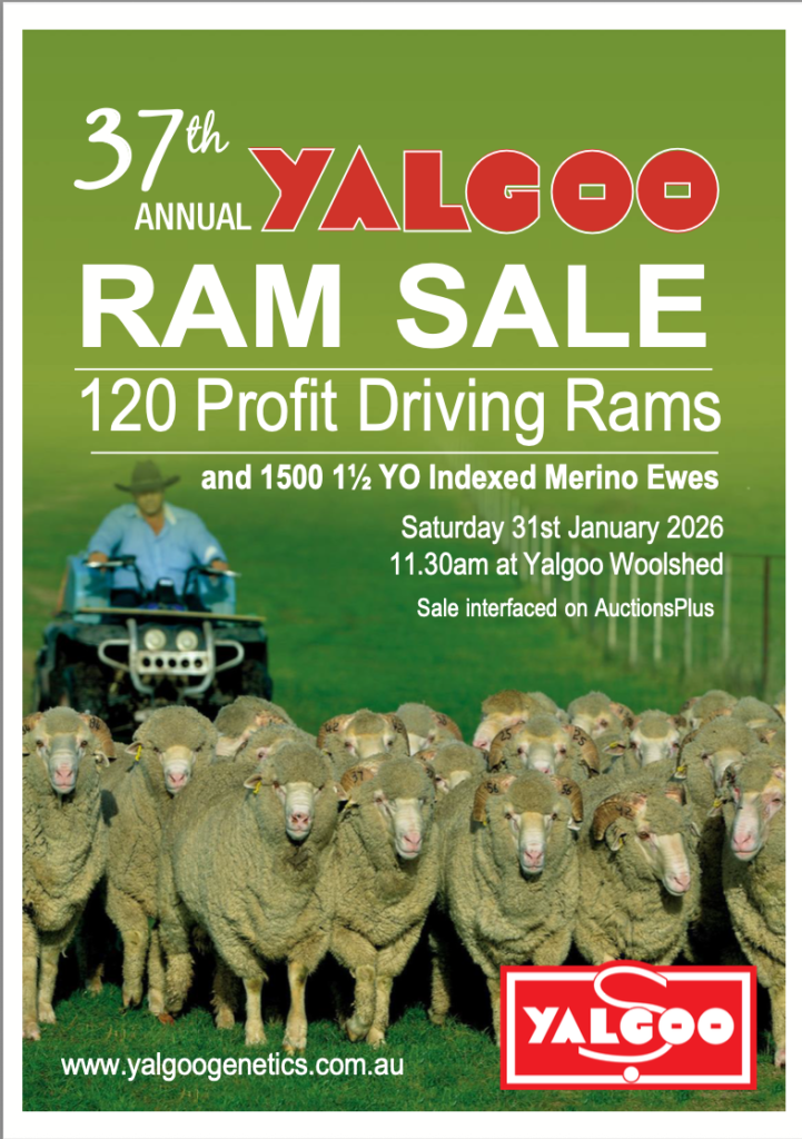 Merinos – Yalgoogenetics